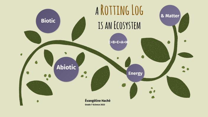 A rotting log is an ecosystem by Évangéline Haché on Prezi