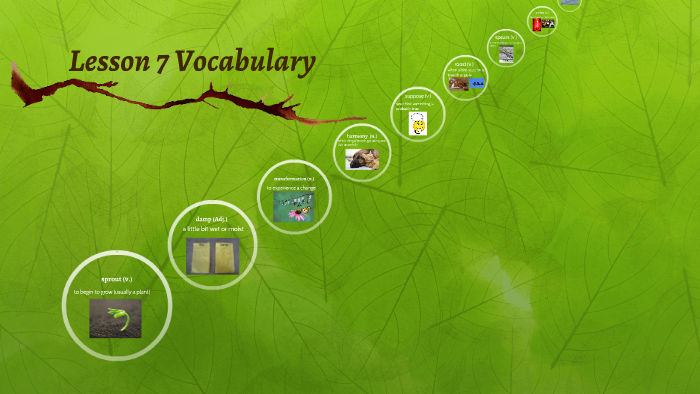 Lesson 7 Vocabulary by