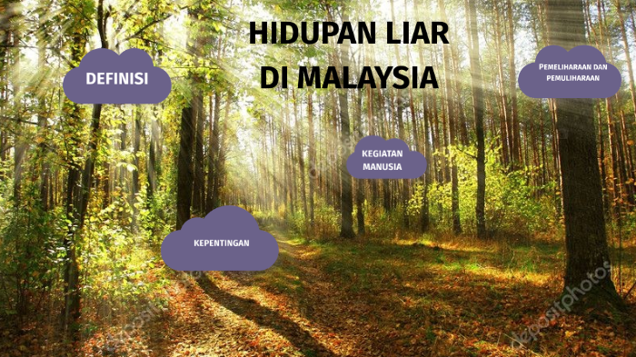 HIDUPAN LIAR by amani batrisyia on Prezi