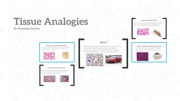 Tissue Analogy by morenike odulate on Prezi