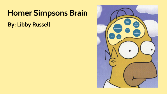Homer Simpsons Brain by Elizabeth Russell on Prezi