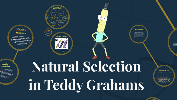 Natural Selection in Teddy Grahams by Eliza Leitch on Prezi