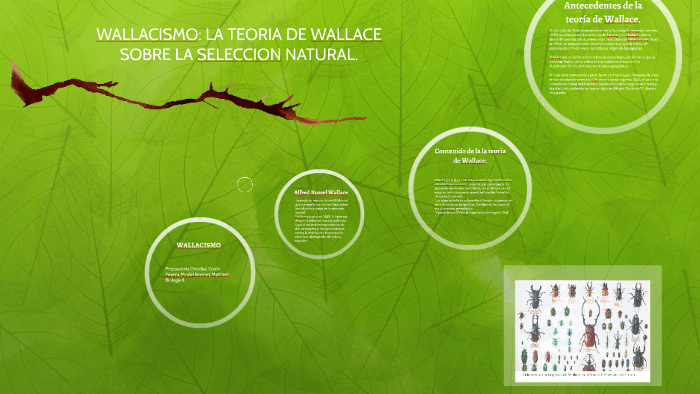 WALLACISMO: LA TEORIA DE WALLACE SOBRE LA SELECCION NATURAL. by Mindel ...