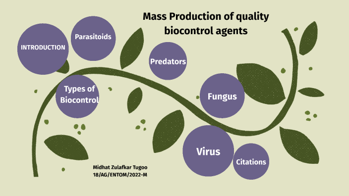Mass production of biocontrol agents by Midhat Tugoo on Prezi