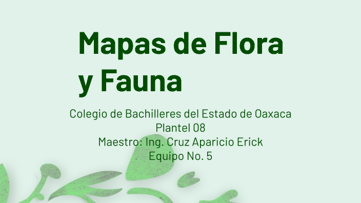 Mapa Mental sobre los Mapas de Flora y Fauna by Víctor Manuel Velasco ...