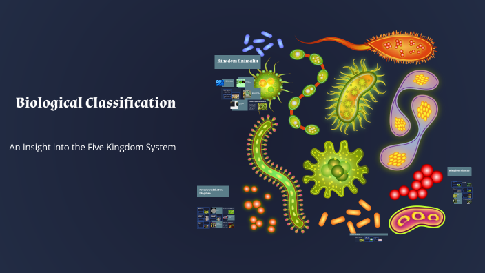 Biological Classification by Raj Rastogi on Prezi