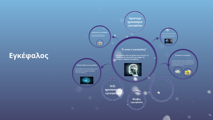 εγκεφαλος by Ιωάννα Καρατάσιου on Prezi