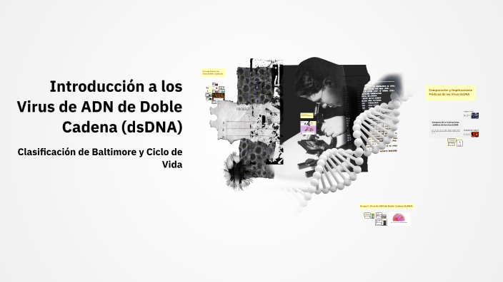 Introducción a los Virus de ADN de Doble Cadena (dsDNA) by Valeria ...