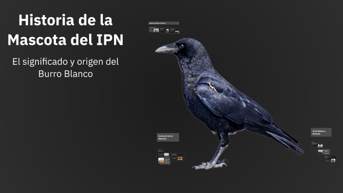 Historia de la Mascota del IPN by Natan Chi on Prezi