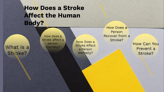 How Does a Stroke Affect the Human Body? by Gavin Williamson on Prezi