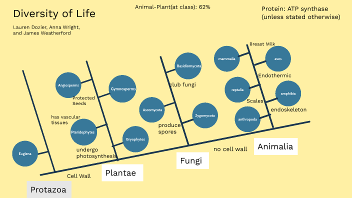Diversity of Life - AP Bio Project by James Weatherford on Prezi