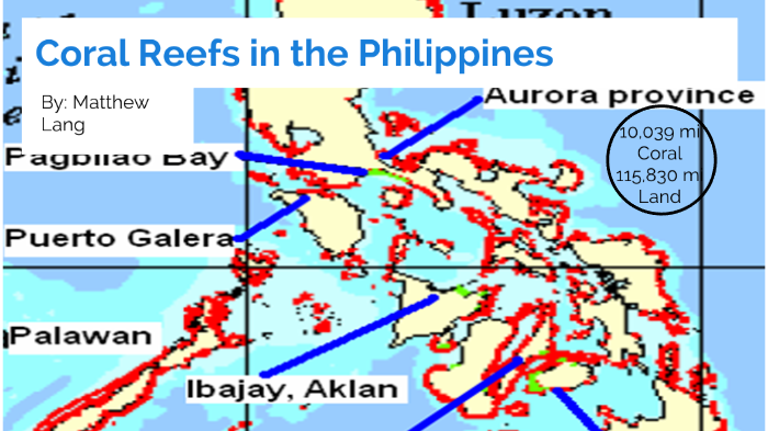 Philippine Coral Reefs by Matthew Lang on Prezi