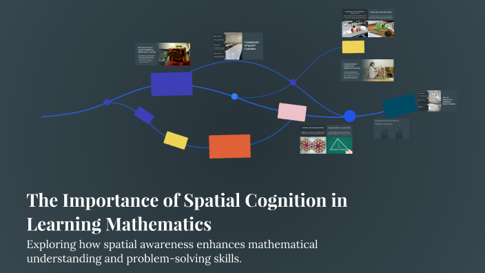 The Importance of Spatial Cognition in Learning Mathematics by David ...