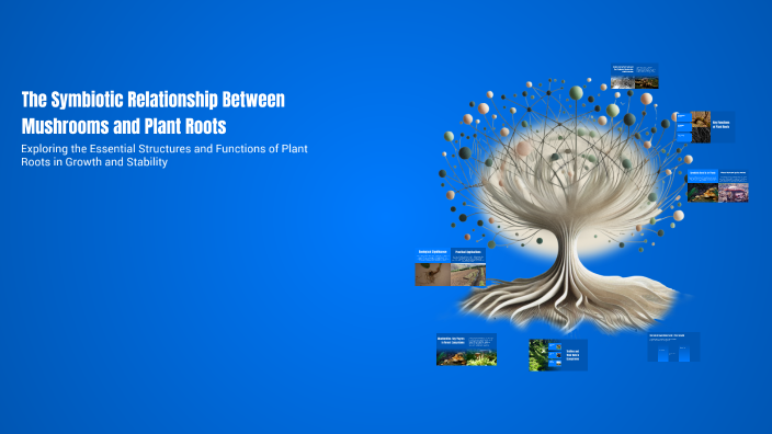 The Symbiotic Relationship Between Mushrooms and Plant Roots by Shalom ...