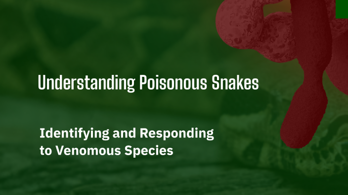Understanding Poisonous Snakes by James Bond on Prezi