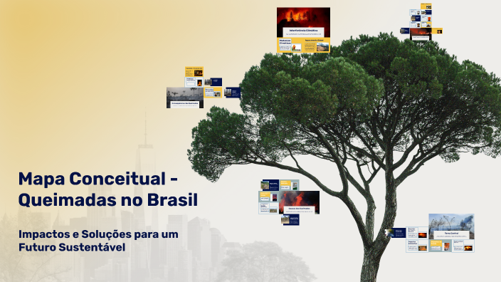 Mapa Conceitual - Queimadas no Brasil by Leandro de Castro Vieira on Prezi