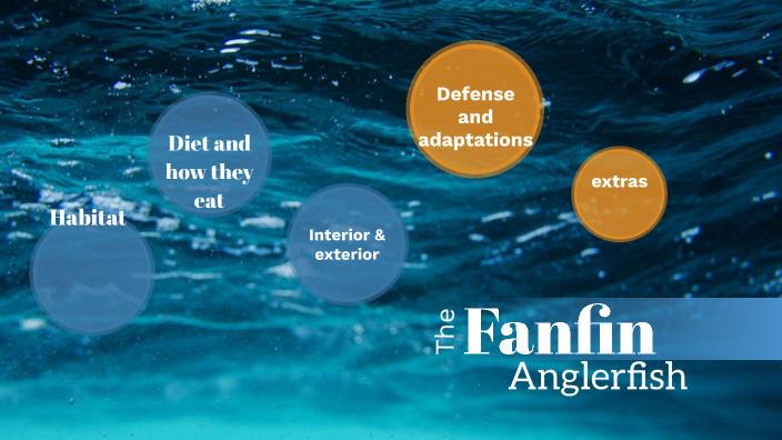 The Fanfin Anglerfish by Rose Blue on Prezi
