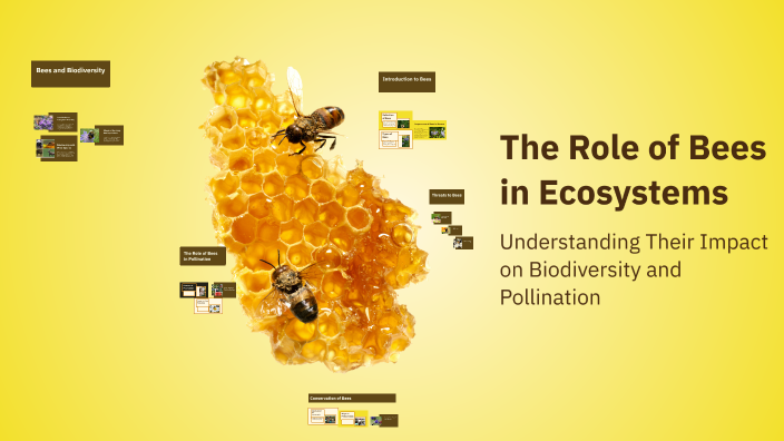 The Role of Bees in Ecosystems by megi veizi on Prezi