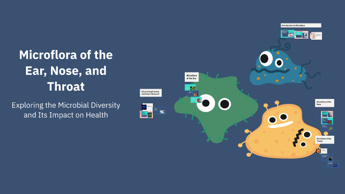 Microflora of the Ear, Nose, and Throat by M.TAYYAB on Prezi