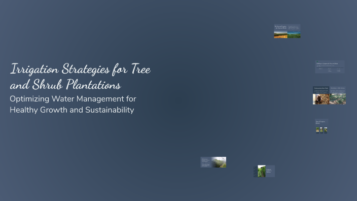 Irrigation Strategies for Tree and Shrub Plantations by Mustafa Semary ...