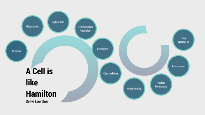 Cell is like Hamilton Project by Andrea Lowther on Prezi