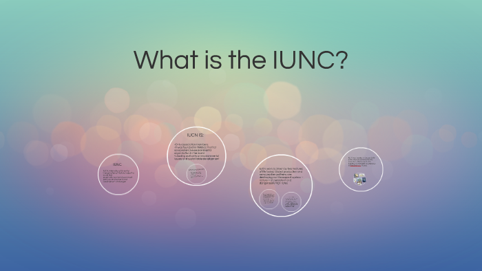 What is the IUNC? by Maria Perez on Prezi