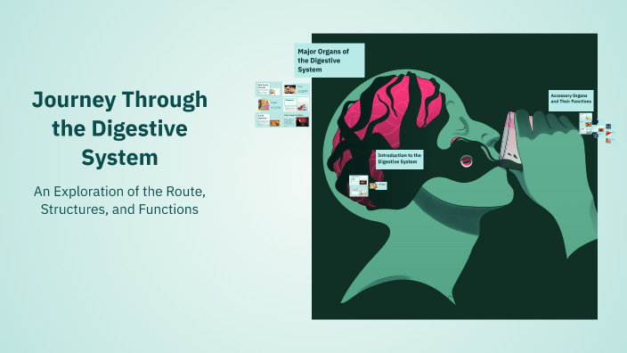 Journey Through the Digestive System by Emily Murillo on Prezi