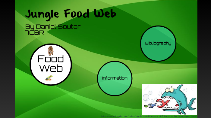 Jungle Food Web by Daniel Soutar on Prezi