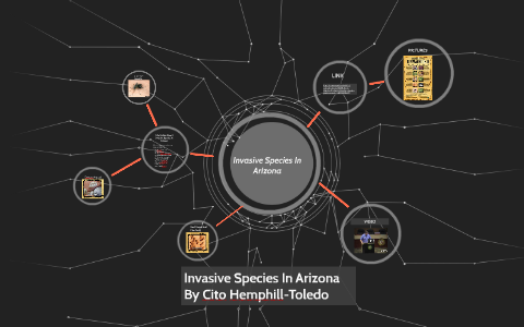 Invasive Species in Arizona by Cito Hemphill-Toledo on Prezi
