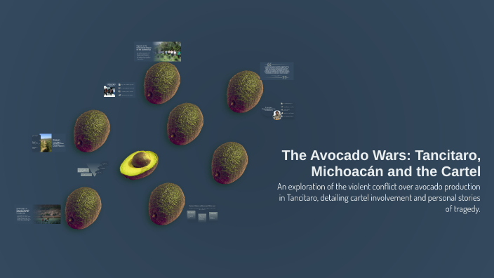 The Avocado Wars: Tancitaro, Michoacán and the Cartel by Diana Almeida ...