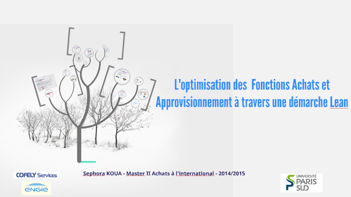 L'optimisation des fonctions Achats et Approvisionnement à travers une ...