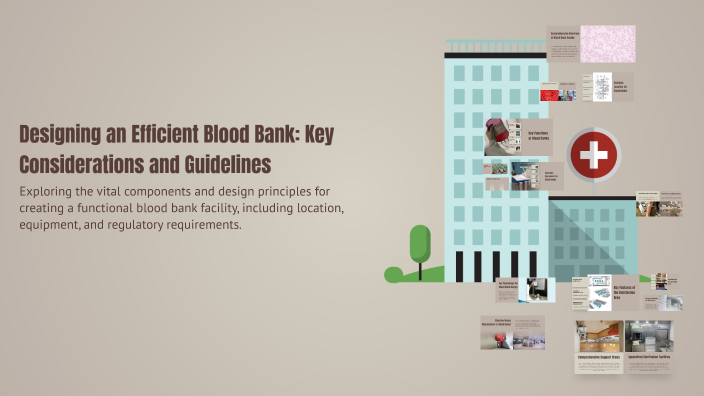 Designing an Efficient Blood Bank: Key Considerations and Guidelines by ...