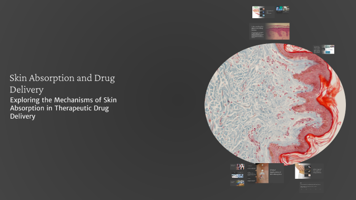 Skin Absorption and Drug Delivery by rohan ahmed on Prezi