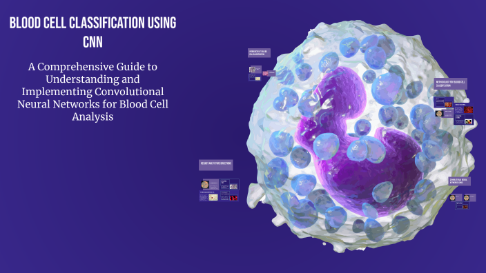 Blood Cell Classification Using CNN by Naravoina Meghana on Prezi