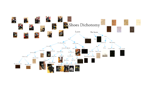 Dichotomous Shoes Key, Biology by Al Byar on Prezi