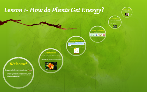 Lesson 1- How do Plants Get Energy? by Tina Pumo on Prezi