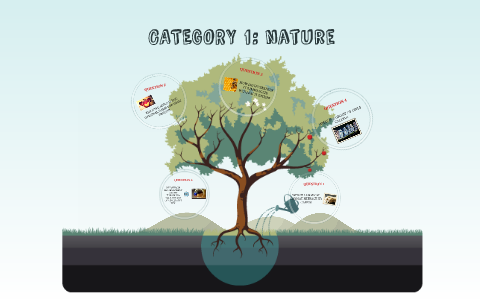 CATEGORY 1: ANIMALS by jordan rigi on Prezi