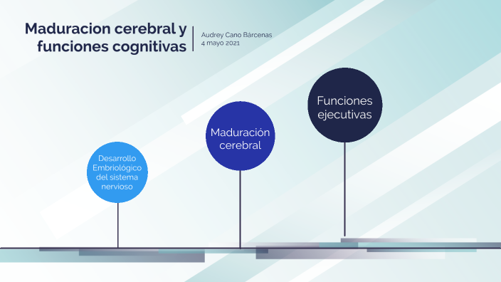 Desarrollo y Maduración cerebral by Audrey Cano on Prezi