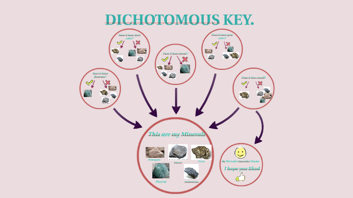 Dichotomous Key by Meme González Osuna on Prezi
