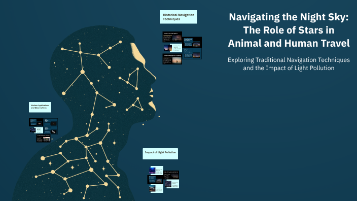 Navigating the Night Sky: The Role of Stars in Animal and Human Travel ...