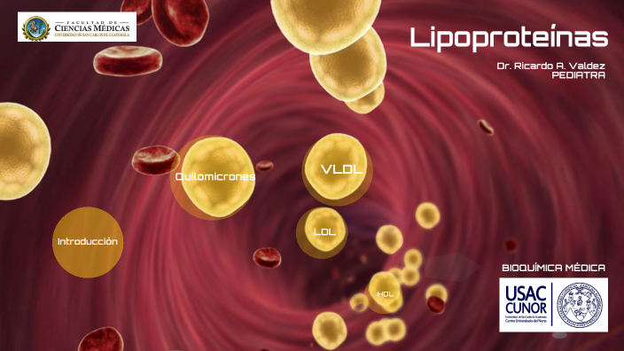 Lipoproteínas by Ricardo Valdez on Prezi