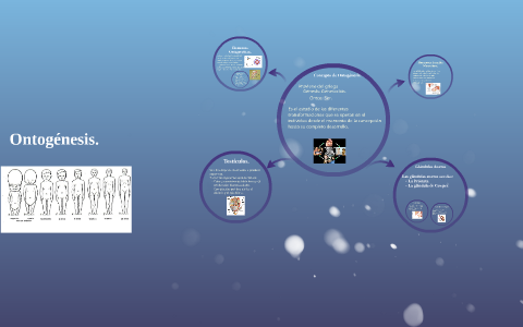 Ontogenesis by Pablo Matias Catan on Prezi