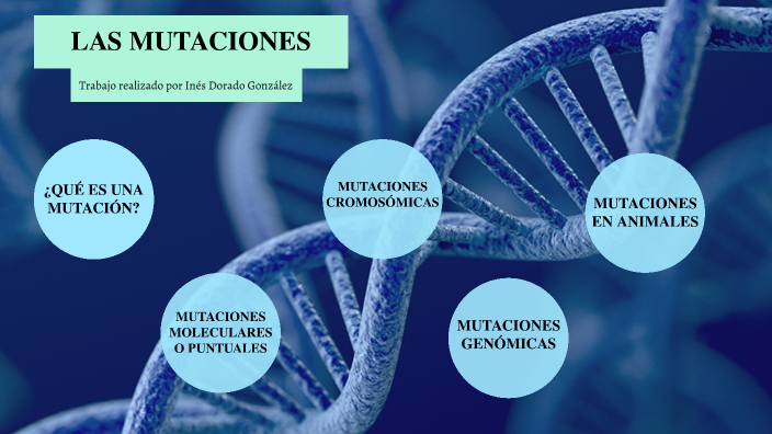LAS MUTACIONES by ines Dg on Prezi