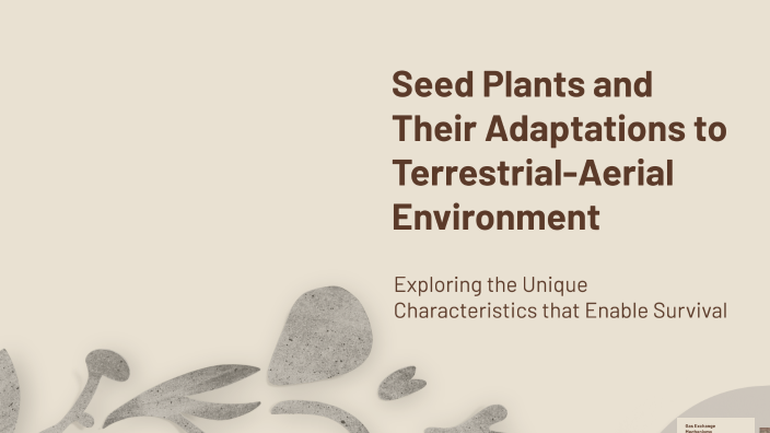Seed Plants and Their Adaptations to Terrestrial-Aerial Environment by ...