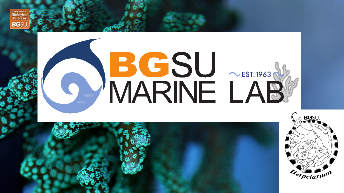 Marine Biology at BGSU (SHORT) 9-13-2023 by Matthew Partin on Prezi