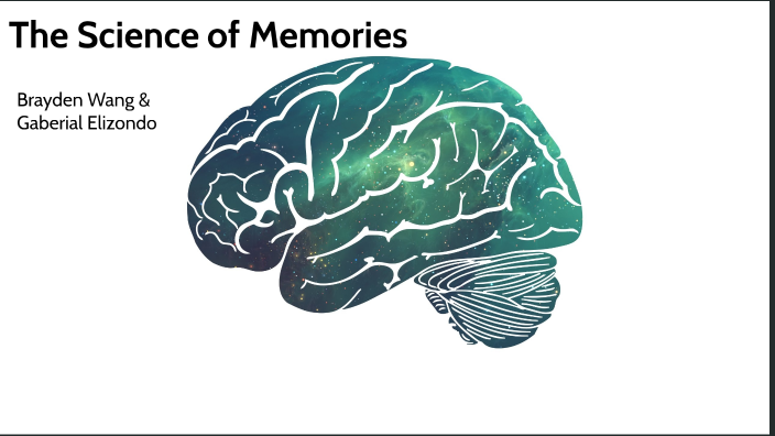 The Science of Memories by Brayden Wang on Prezi