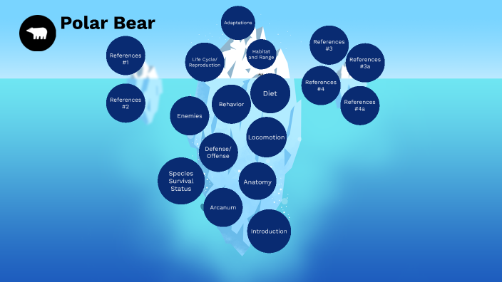 Animal Research Practice/Polar Bear by Alexander Pompilus on Prezi