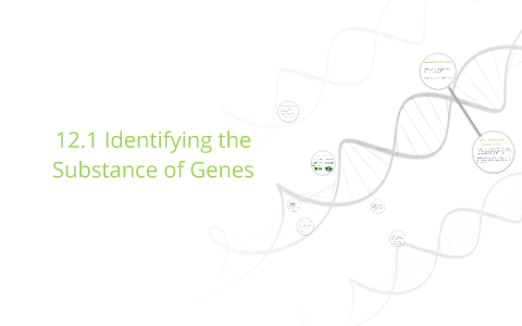 12.1 Identifying the Substance of Genes by Cole Hardacre on Prezi