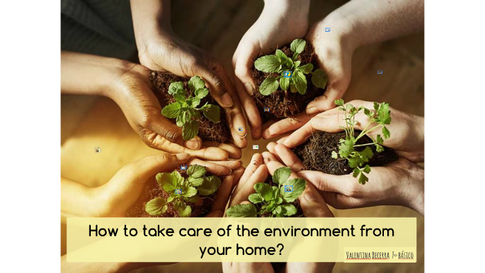 How to take care of the environment from your home? by Beatriz Ulloa ...