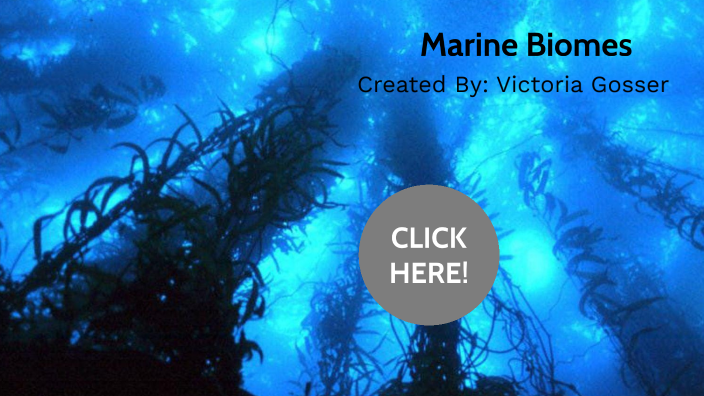 Marine Biomes by Victoria Gosser on Prezi